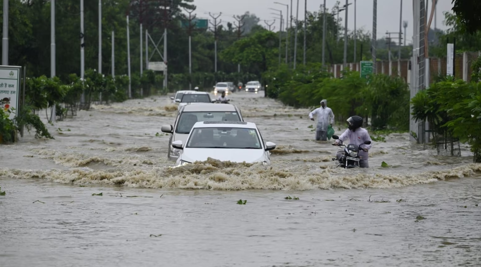IMD issues red alert for heavy rains in multiple regions of India - JSWTV.TV